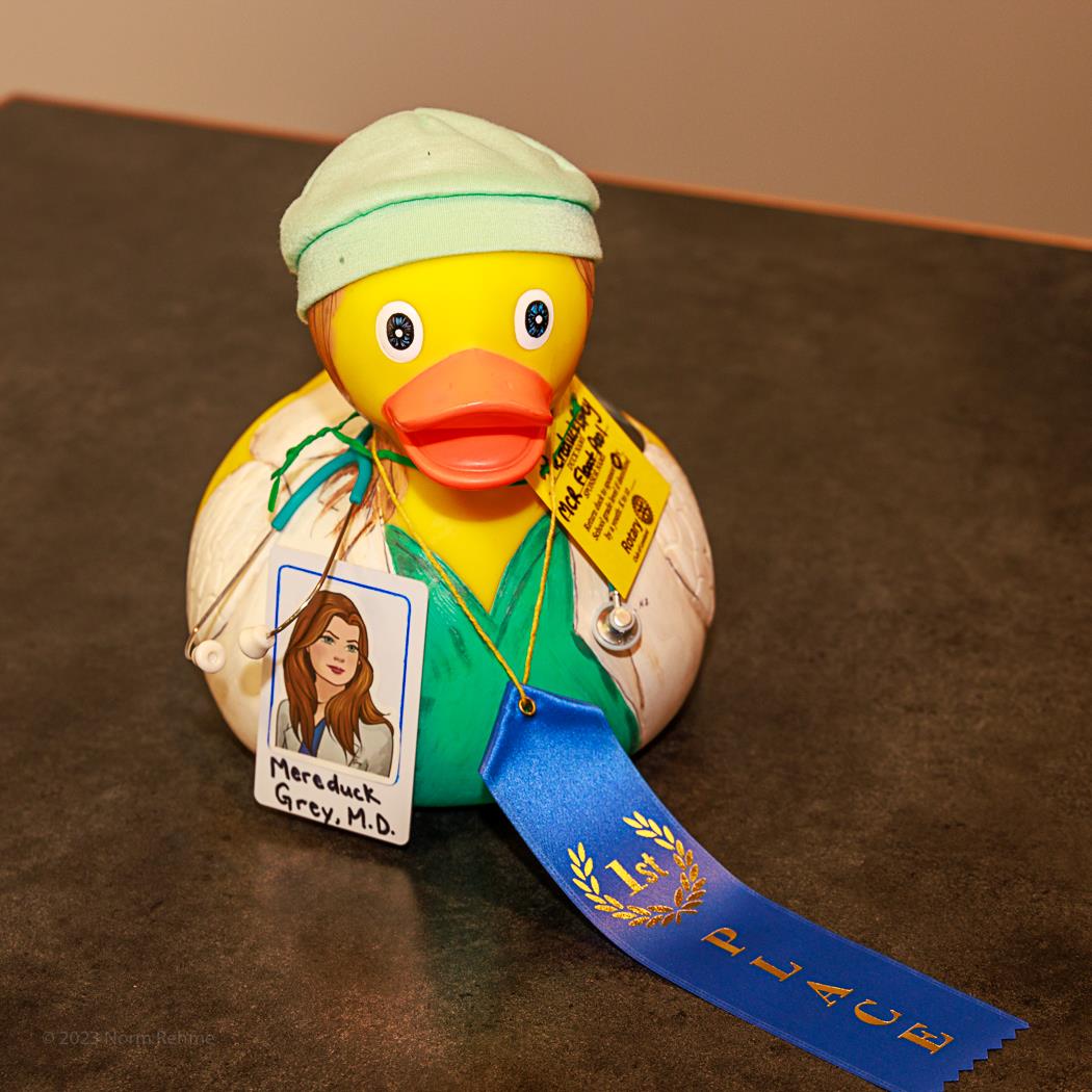 Winning Large Decorated Ducks | Rotary Club of Loveland