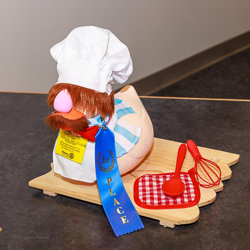 Winning Large Decorated Ducks | Rotary Club of Loveland