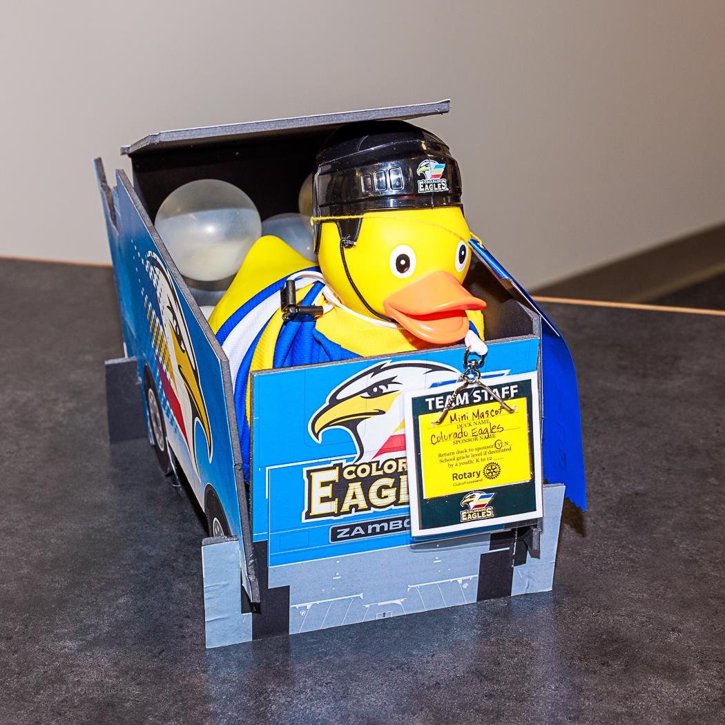 Winning Large Decorated Ducks | Rotary Club of Loveland