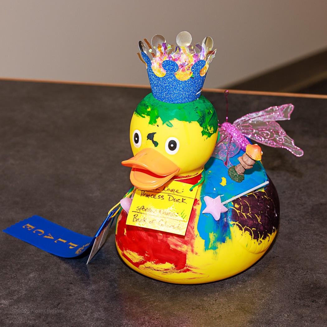 Winning Large Decorated Ducks | Rotary Club of Loveland