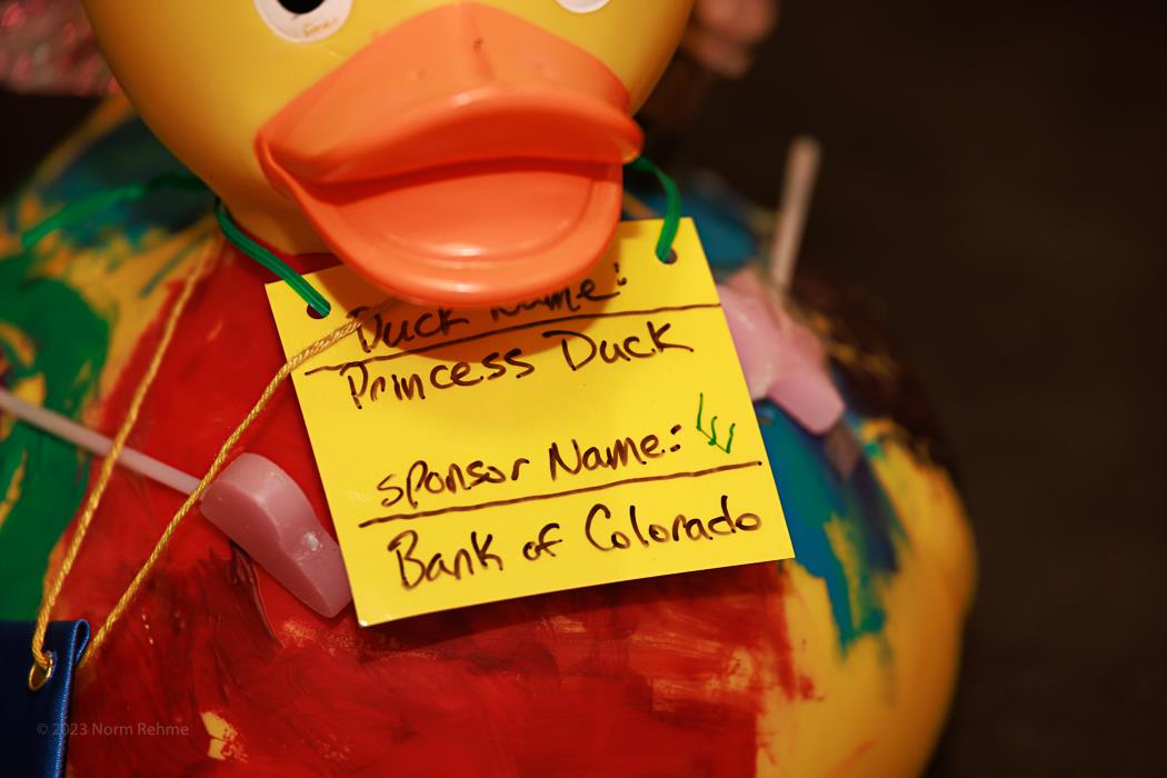 Winning Large Decorated Ducks | Rotary Club of Loveland