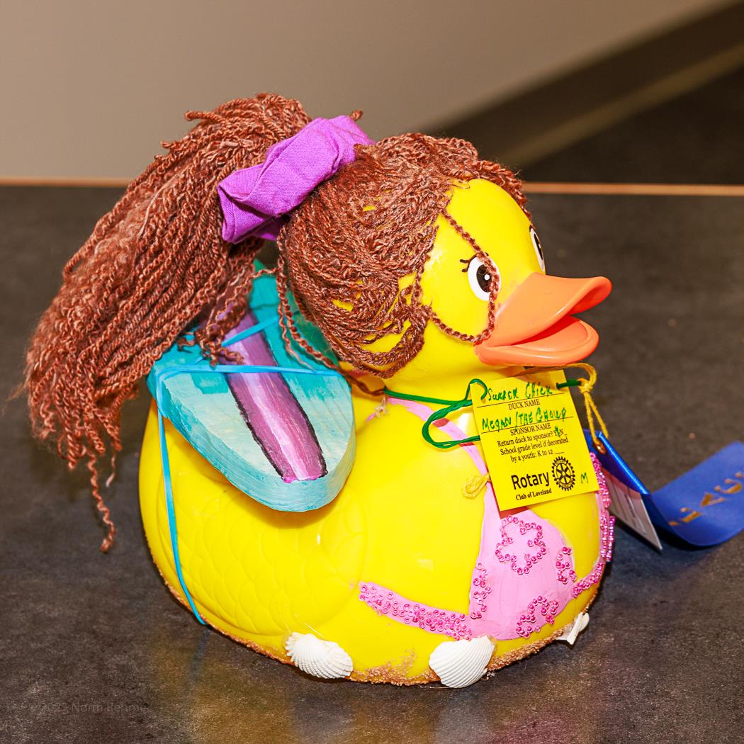 Winning Large Decorated Ducks | Rotary Club of Loveland