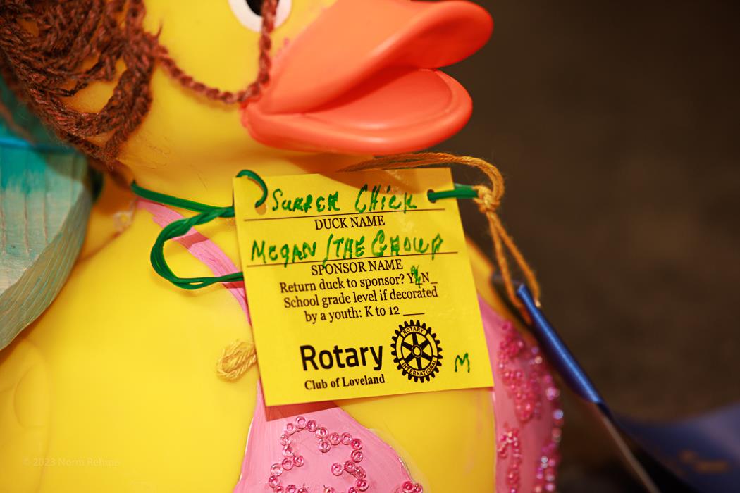 Winning Large Decorated Ducks | Rotary Club of Loveland