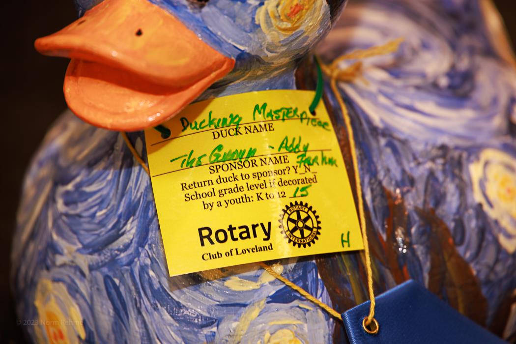 Winning Large Decorated Ducks | Rotary Club of Loveland