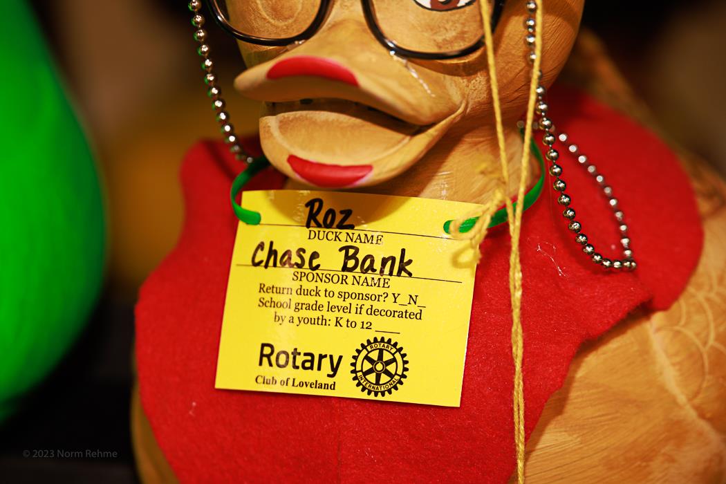 Winning Large Decorated Ducks | Rotary Club of Loveland