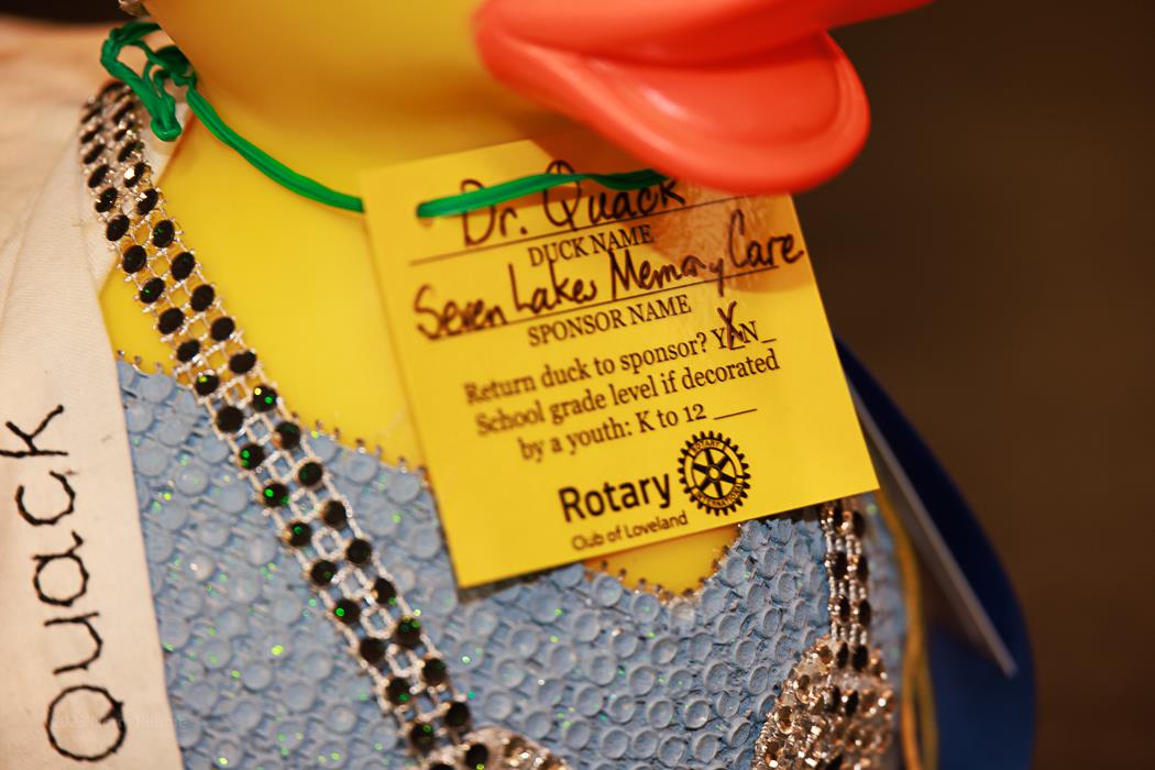 Winning Large Decorated Ducks | Rotary Club of Loveland