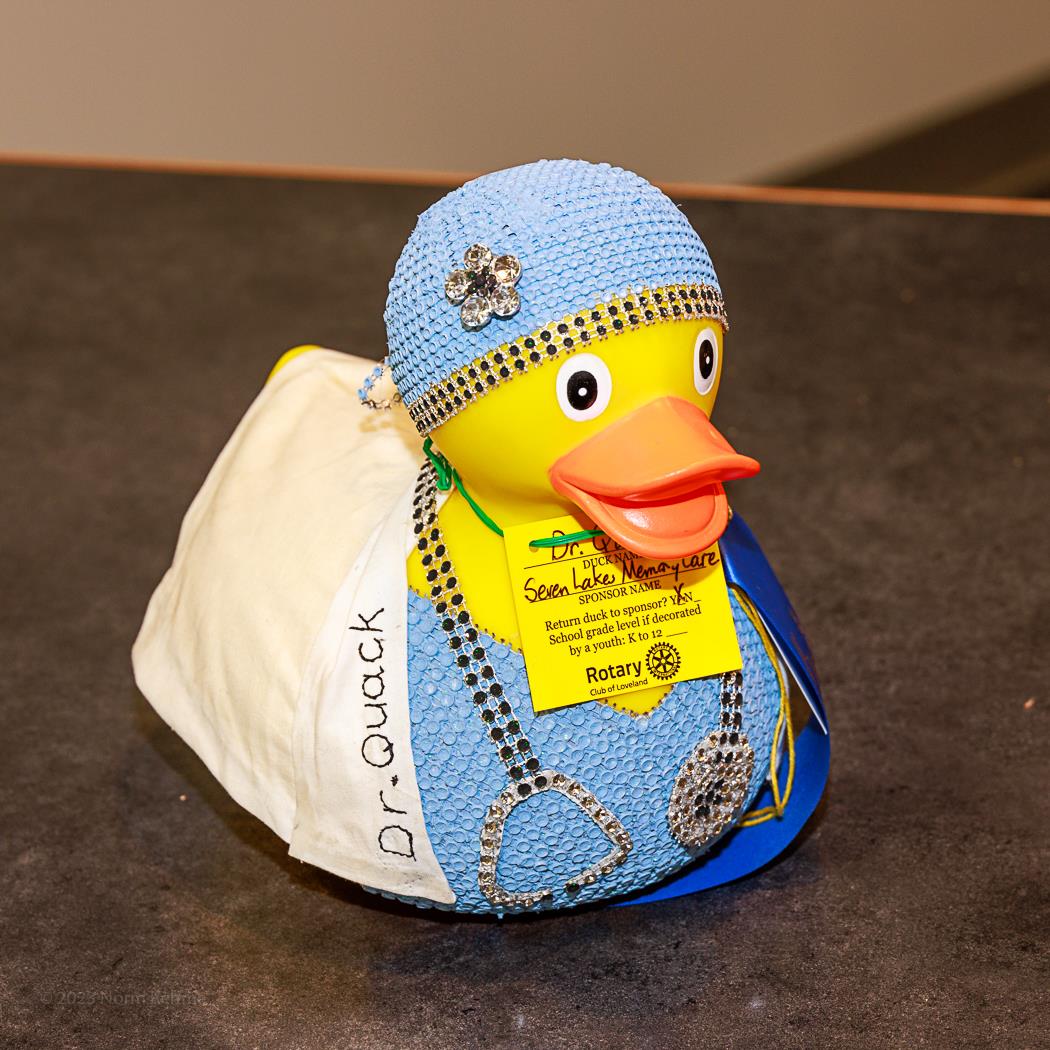 Winning Decorated Ducks | Rotary Club of Loveland