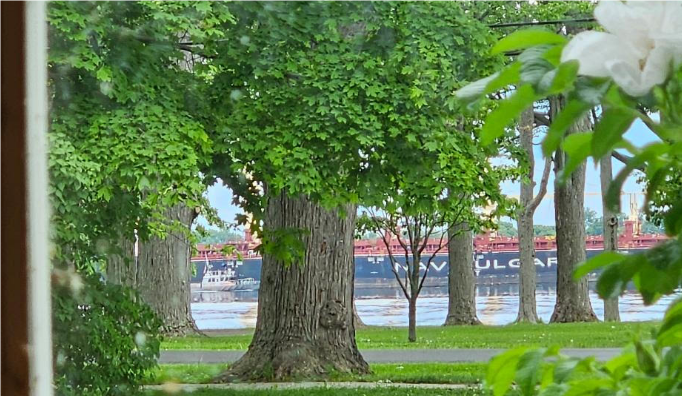 About Us | Rotary Club of Lincoln #14