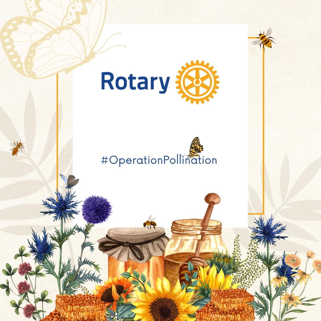 Home Page | Rotary Club of Bay City