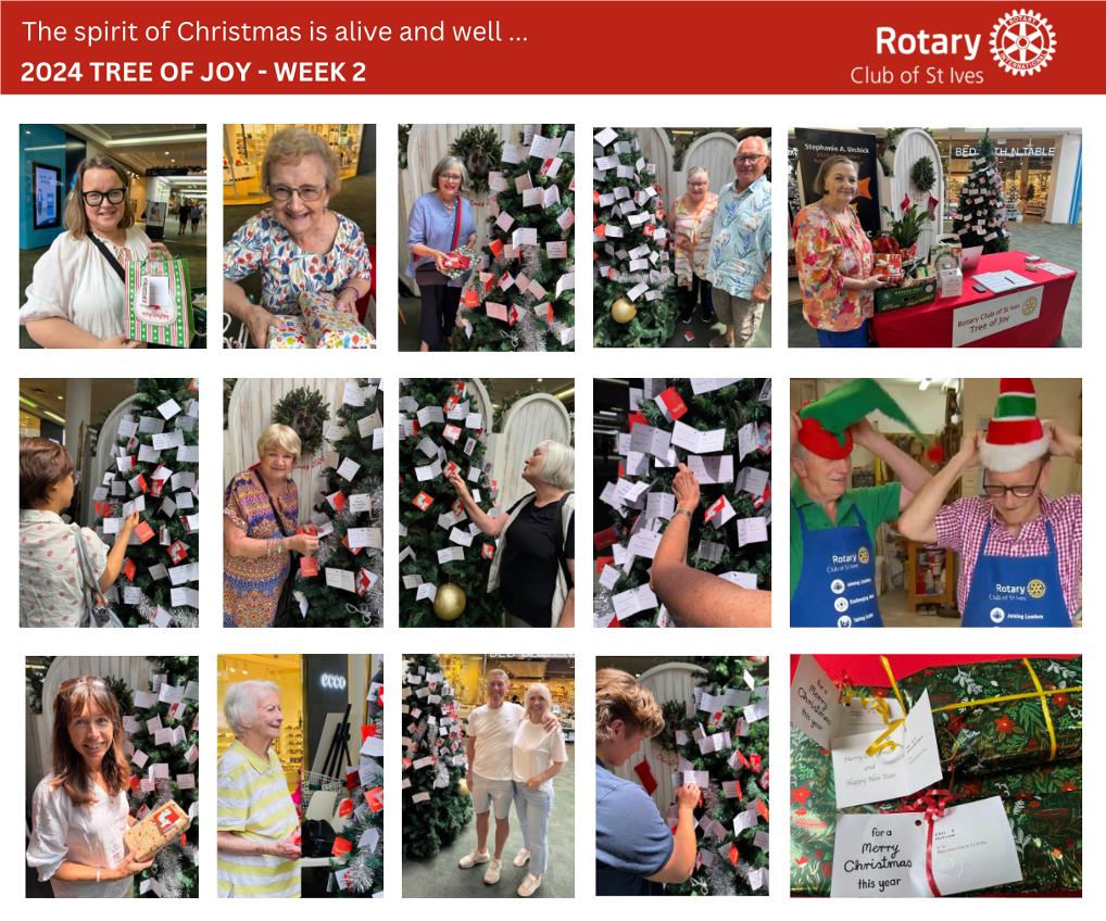 2024 Tree of Joy - Week 2 | Rotary Club of St. Ives