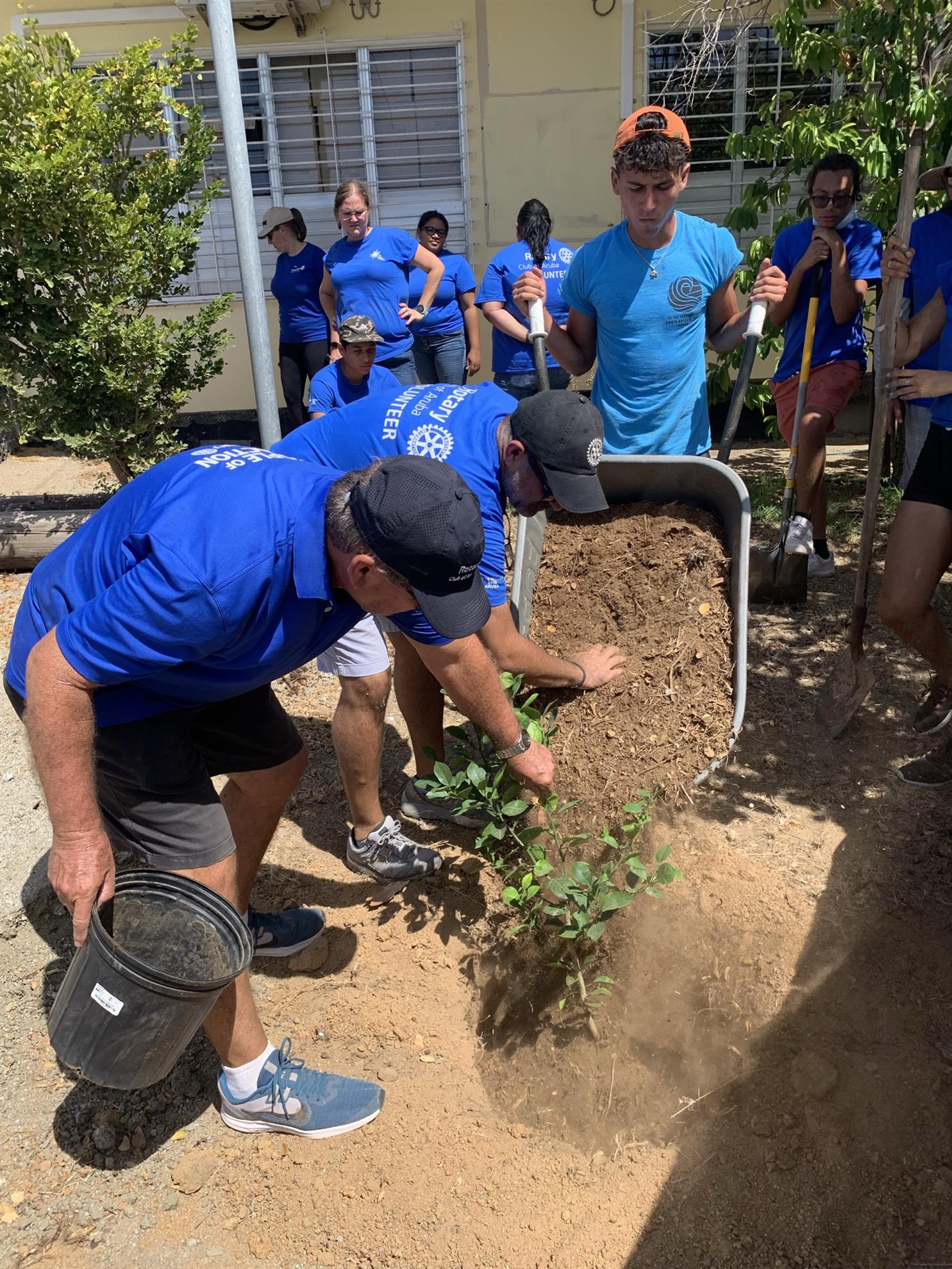 Planting of trees on Tree Dag 2021 | Rotary Club of Aruba