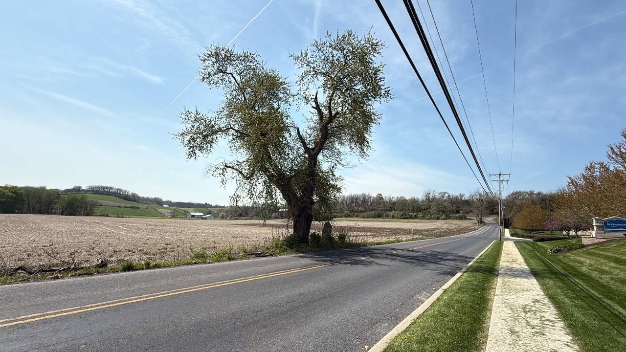 Deisher memorial clean up | Rotary Club of Kutztown