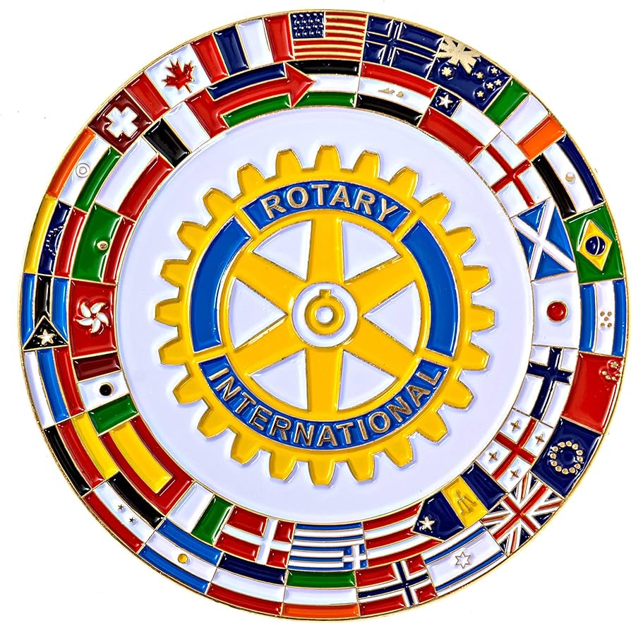 Educating people on the complexities of the healthcare system | Rotary ...