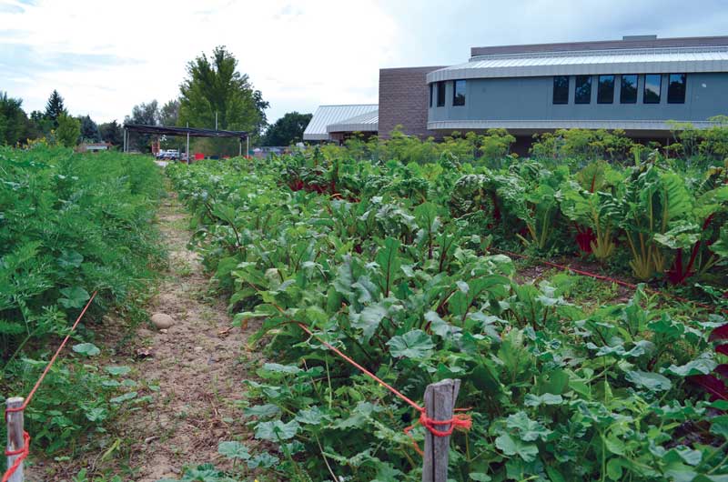 Growing Gardens Service Project | Rotary Club of Longmont