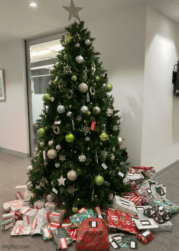 TAL TREE OF JOY | Rotary Club of Central Melbourne