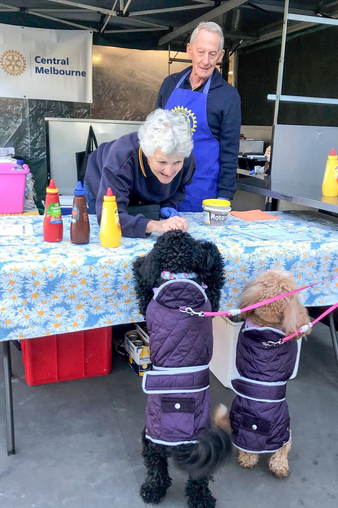 GOOD OLD COLLINGWOOD FOREVER | Rotary Club of Central Melbourne