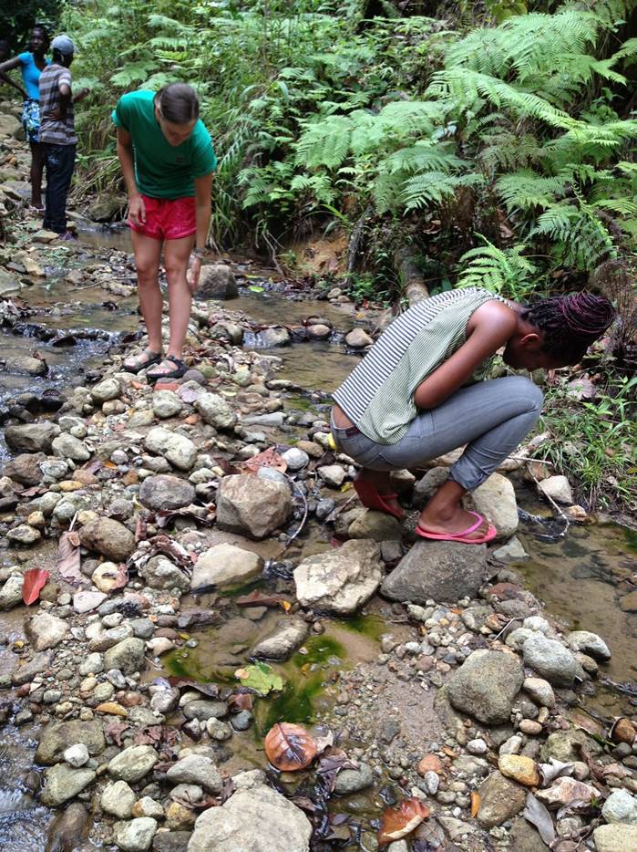Past President Mary Beth Sutton Presents Caribbean SEA | Rotary Club of ...