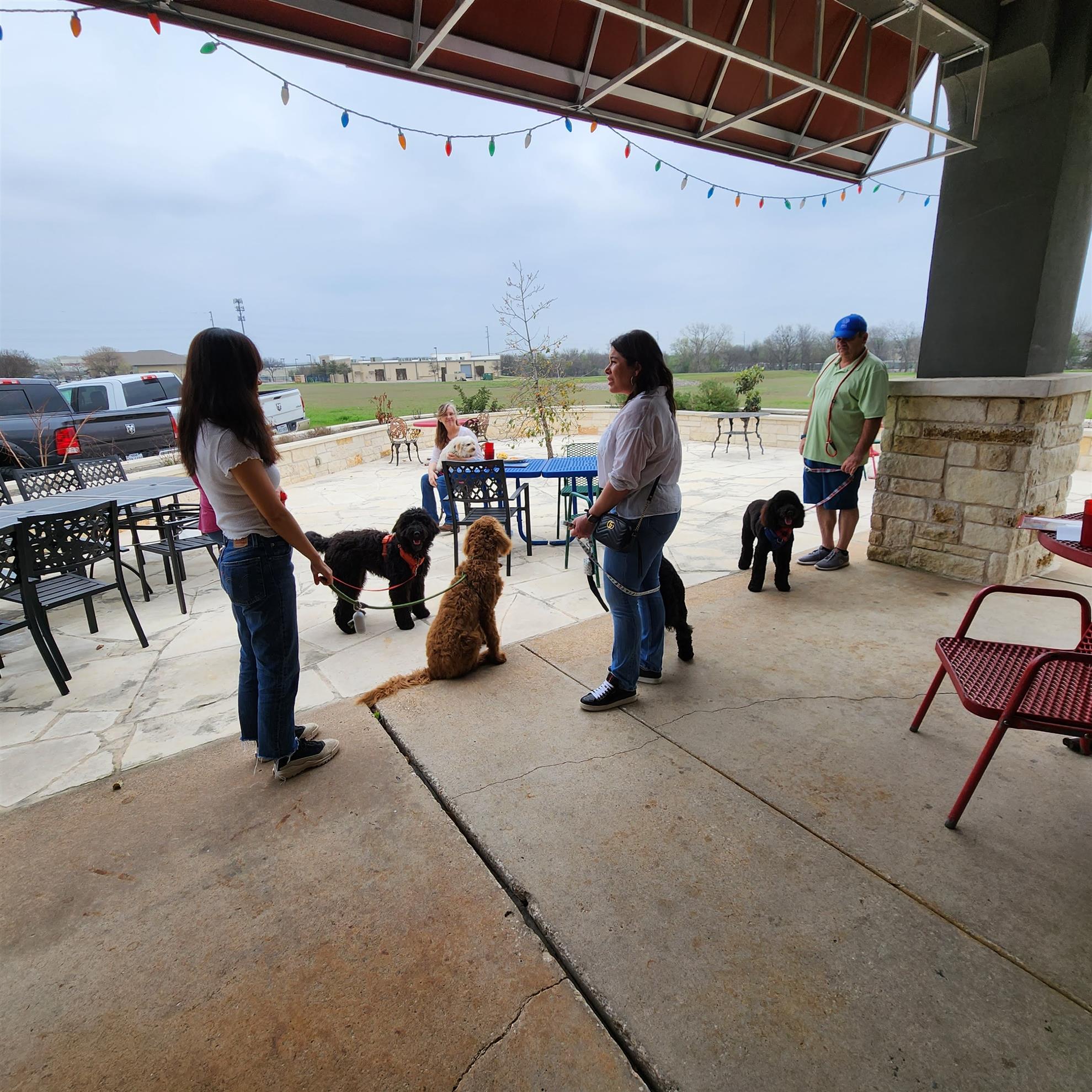 Program - Doodle Dandy Rescue, Sally Hammond | Rotary Club of South Austin