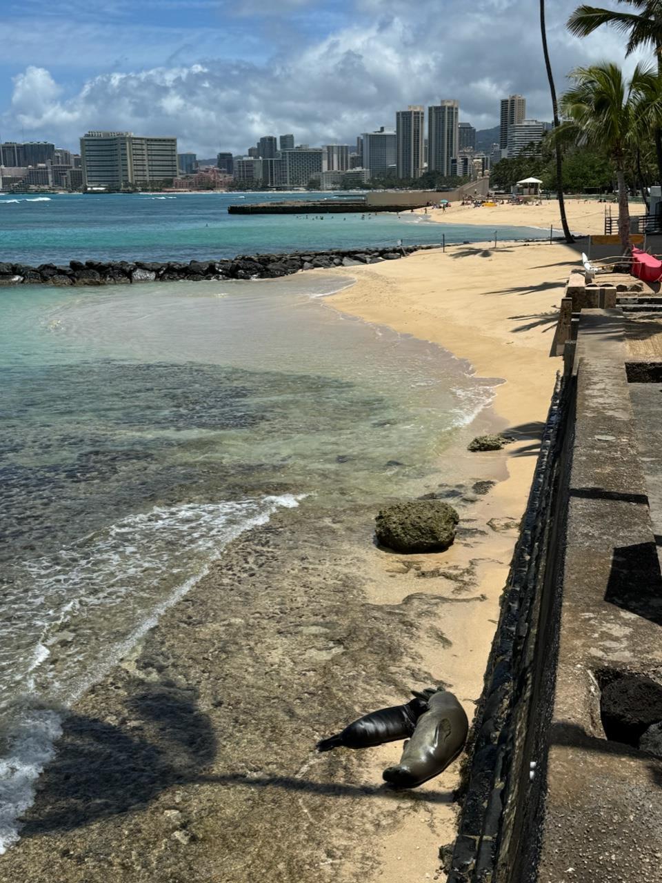 2024.05.28 Hybrid Lunch Mtg - Dr. Neal Milner | Rotary Club of Honolulu ...