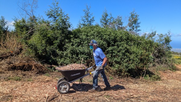 Wildfire Recovery with Malama Kula | Rotary Club of Upcountry Maui