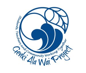 Genki Ball Project Feb 24 | Rotary Club of West Honolulu, Oahu