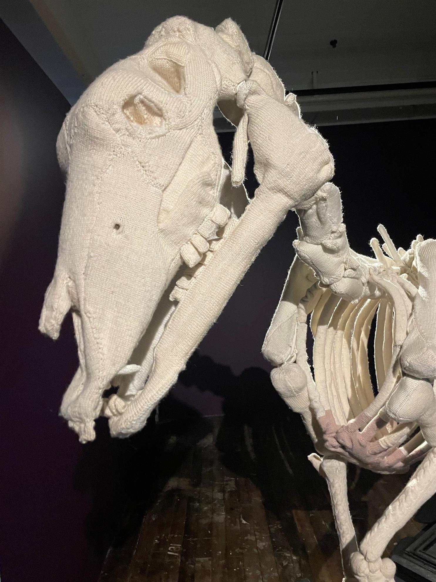 EXCURSION TO GEELONG on the ferry! | Melbourne Sunrise Probus Club