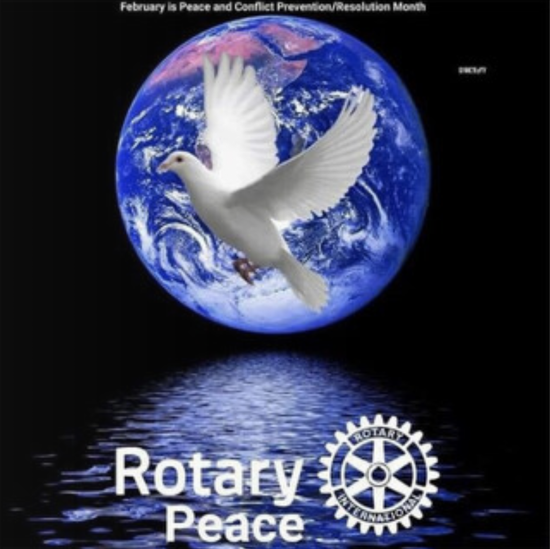 Rotary Peace Fellow | Rotary Club of Hawthorn