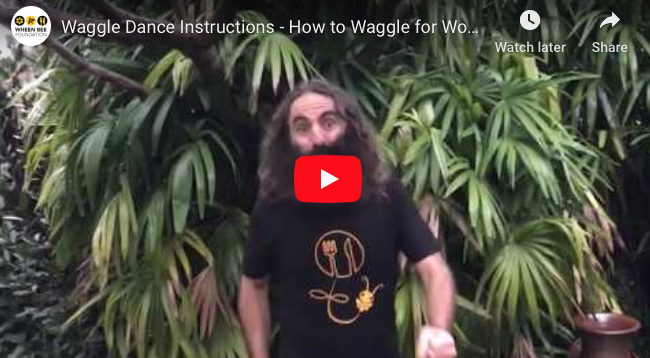 JOIN THE WAGGLE DANCE | Rotary Club of Hawthorn