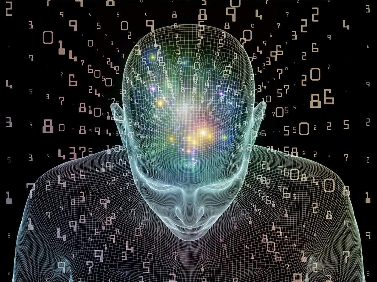 Wisdom vs. Knowledge: What’s The Difference? | Rotary Club of Hawthorn