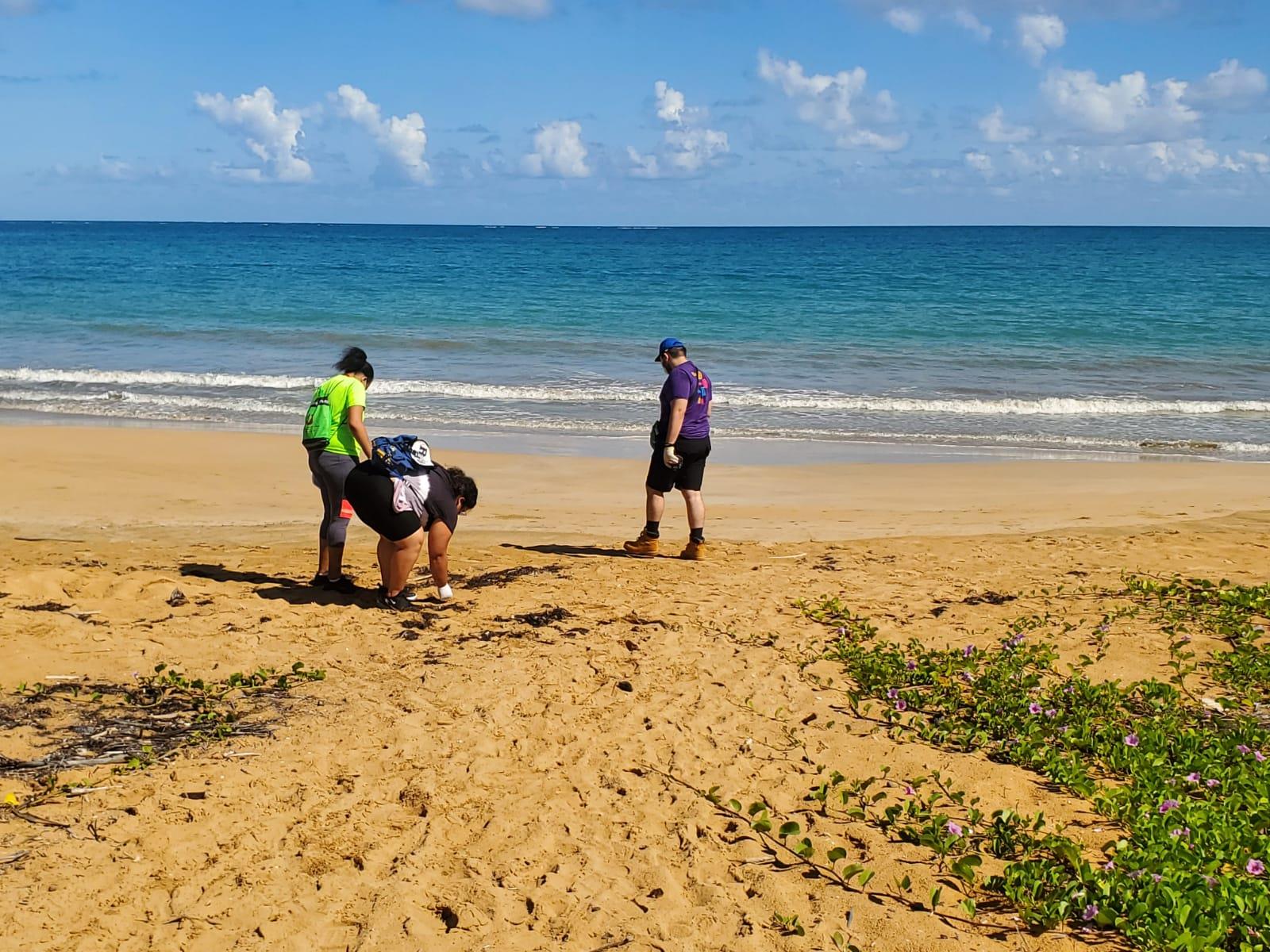 Limpieza de Costas | Rotary E-Club Puerto Rico y Las Americas