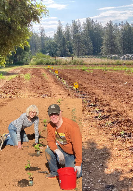 Rotario - Staying Connected June 8, 2023 (Jun 01, 2023)