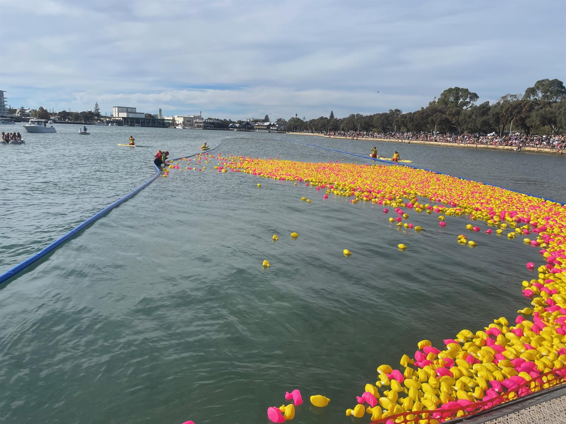 Family Fun Day & Duck Race 2024 | Rotary Club of Mandurah Districts
