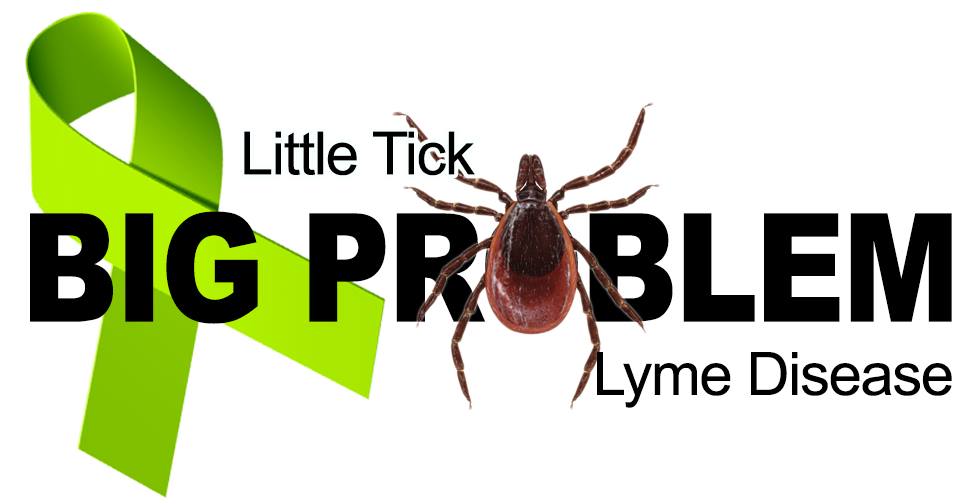 LITTLE TICK-BIG PROBLEM-LYME DISEASE | Rotary Club of Willetton