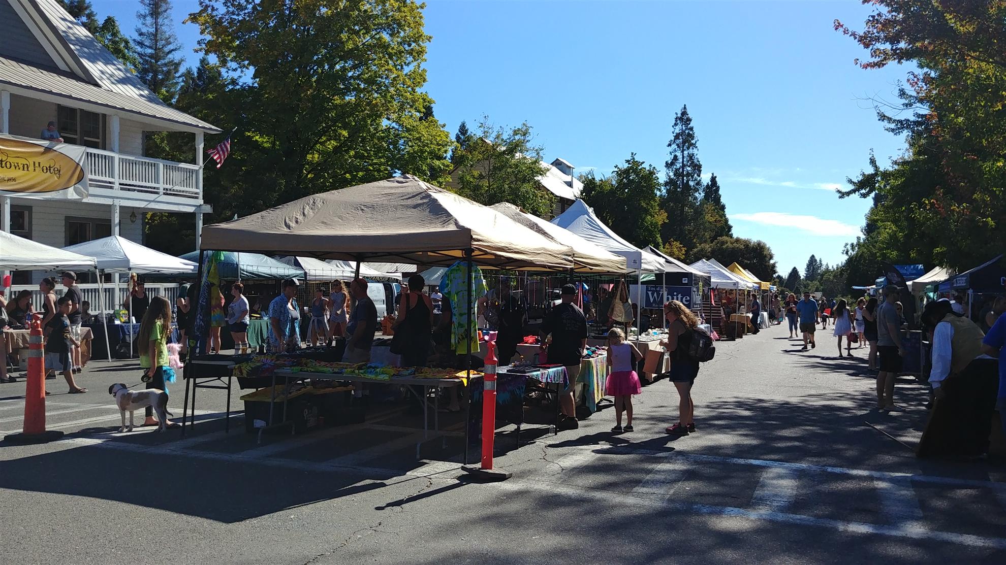 Home Page | Rotary Club of Georgetown Divide