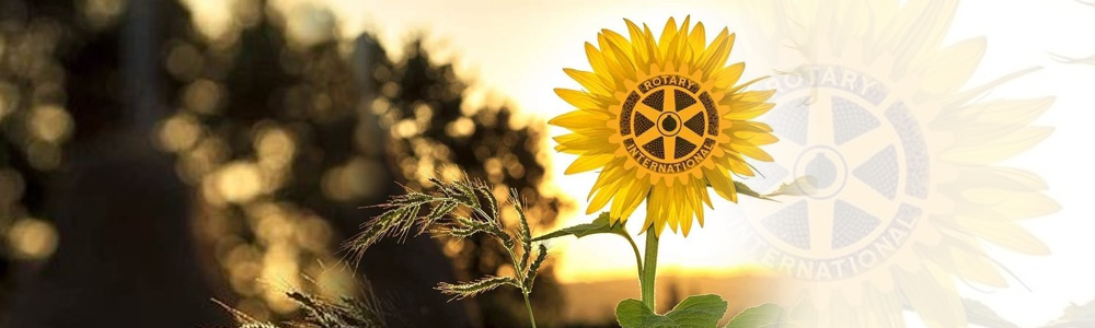 Home Page | Rotary Club of Southern Mitchell