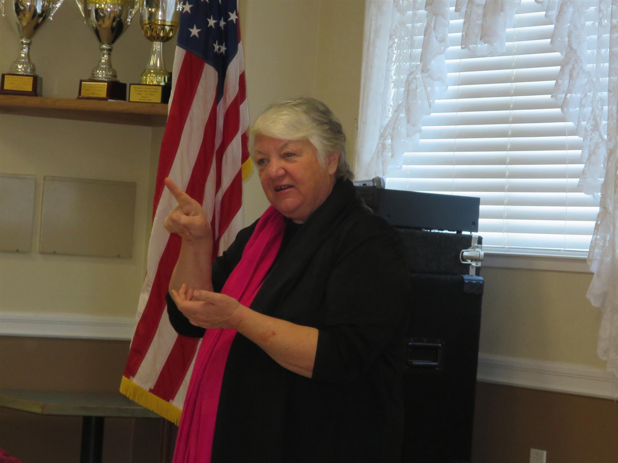 Meeting Recap Feb 26 - Speaker, Ann McCormick | Rotary Club of Half ...
