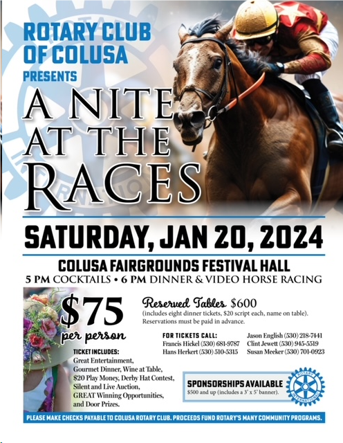 Rotary Club of Yuba City Magazine ED 413 (Nov 20, 2023)