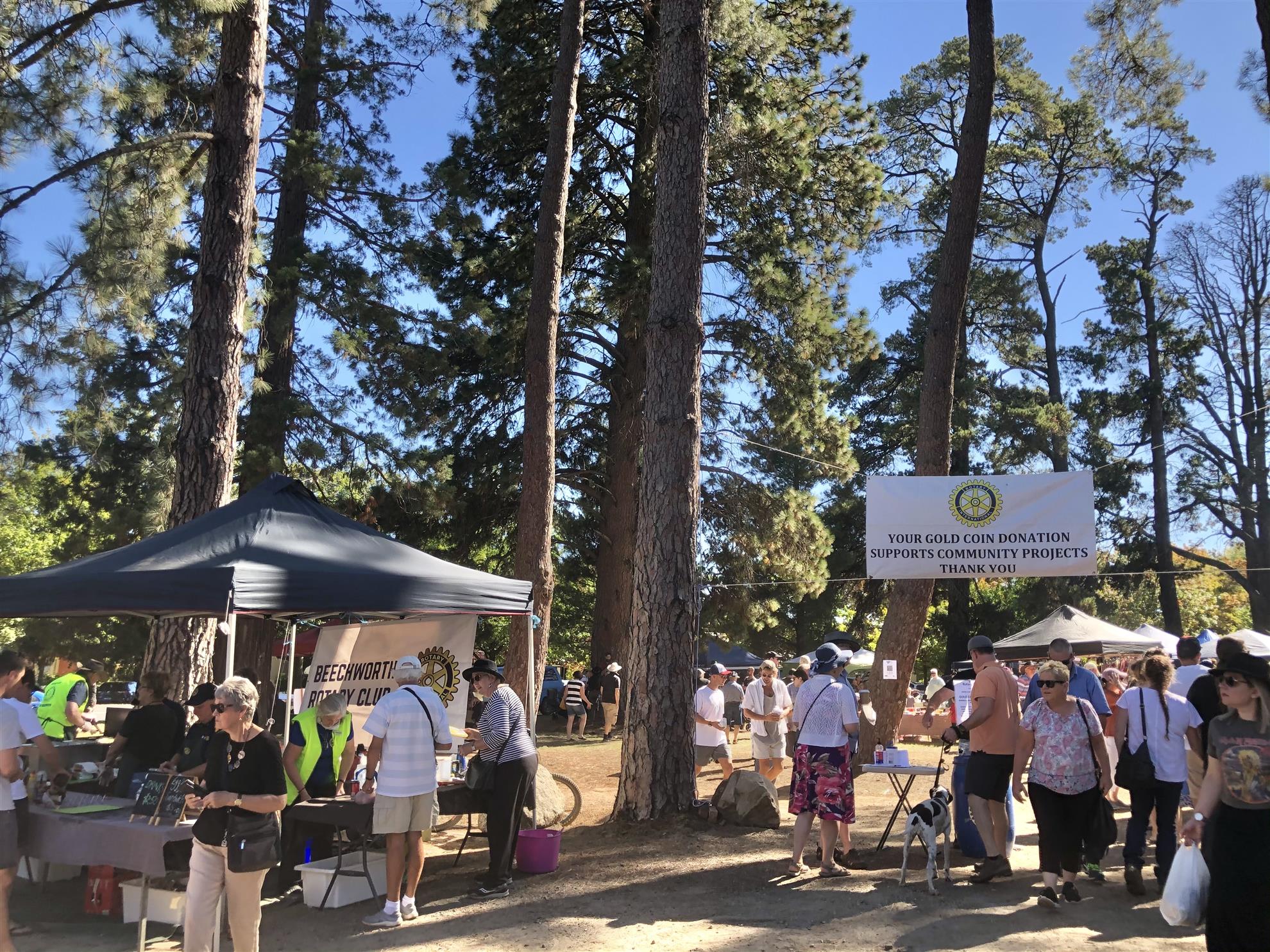 Our February 2022 Market | Rotary Club of Beechworth