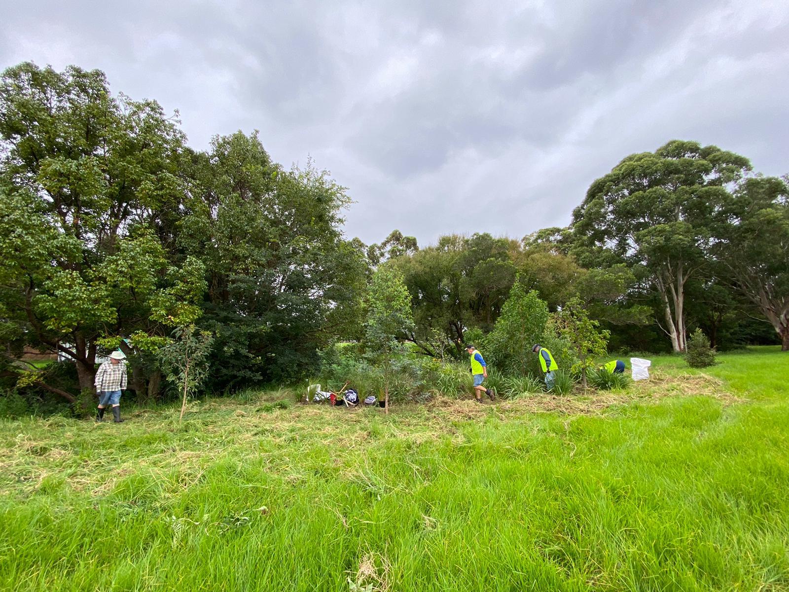 Habitat Rejuvenation | Corrimal Rotary