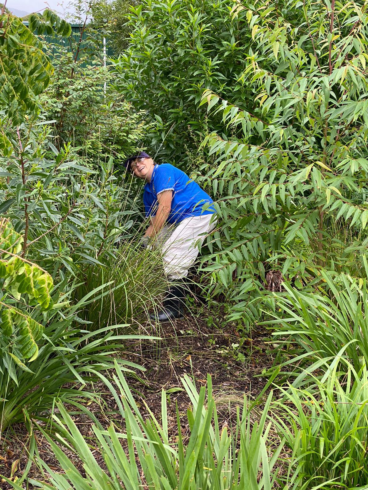 Habitat Rejuvenation | Corrimal Rotary