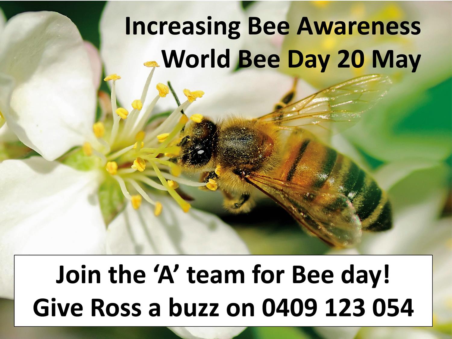 Community Bee Awareness Program | Rotary Club of Eltham