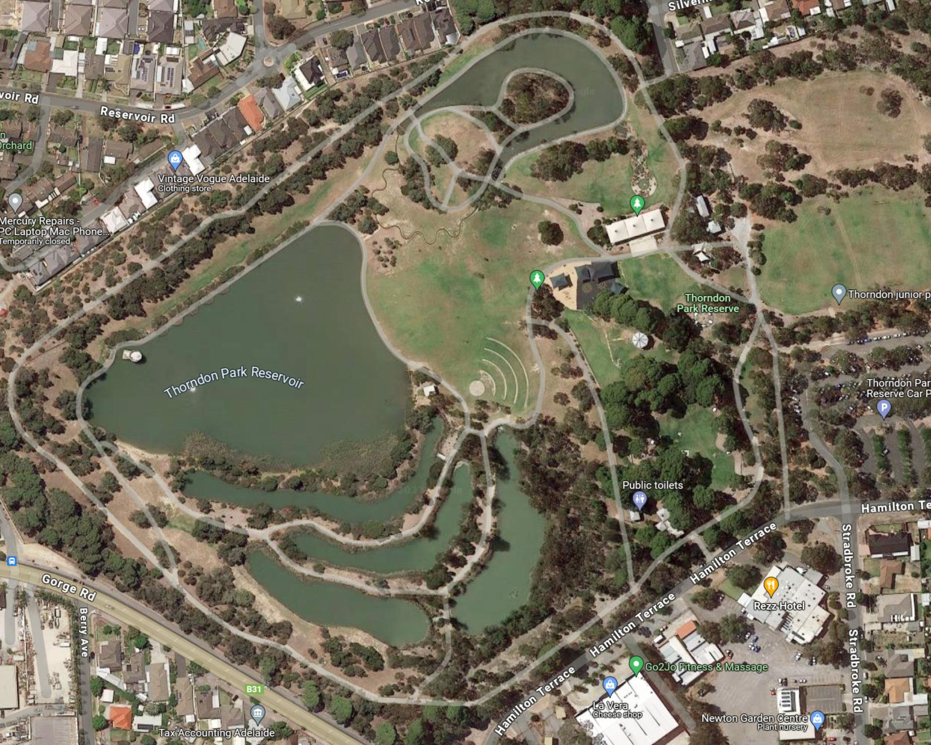 Duck Race | Rotary Club of Morialta