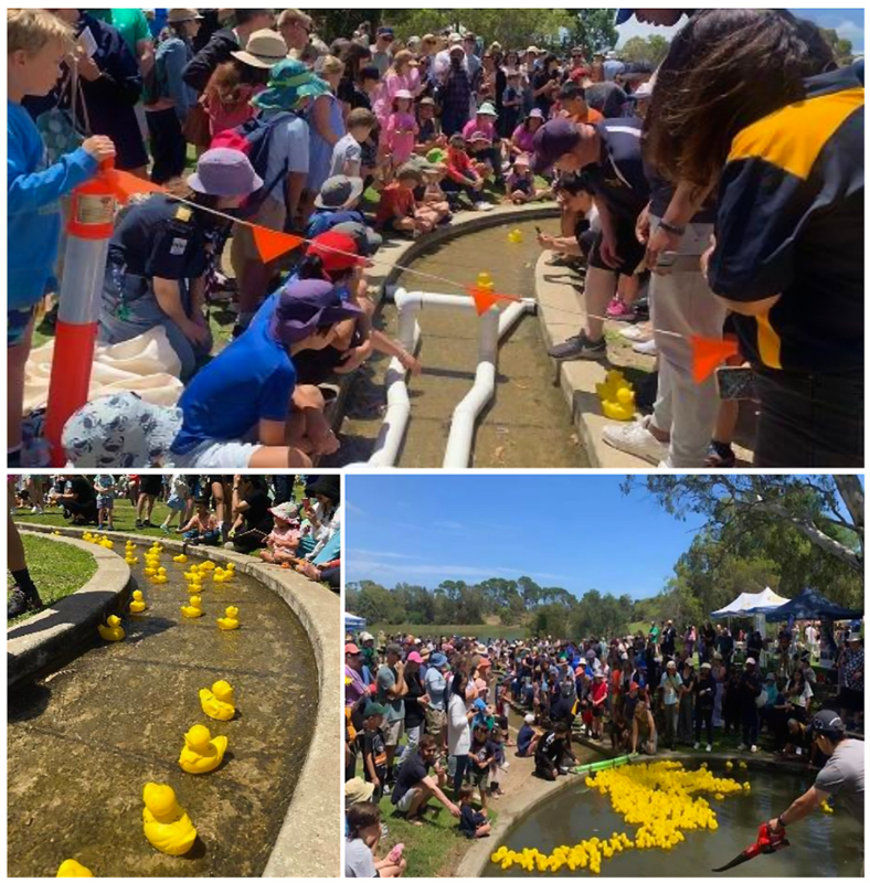 Duck Race | Rotary Club of Morialta