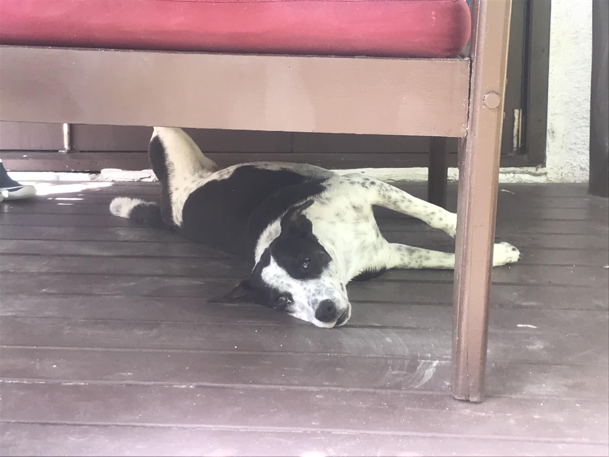 Members Slot Part 1 : Mark Wells Glimpses of Life from Yaqueta Island ...