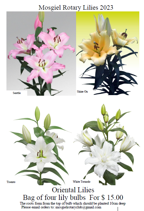 Book Sale full steam ahead | The Rotary Club of Mosgiel