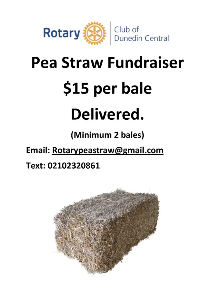 Hay Bale Size Dimensions PEA Straw Offer | The Rotary Club Of Mosgiel