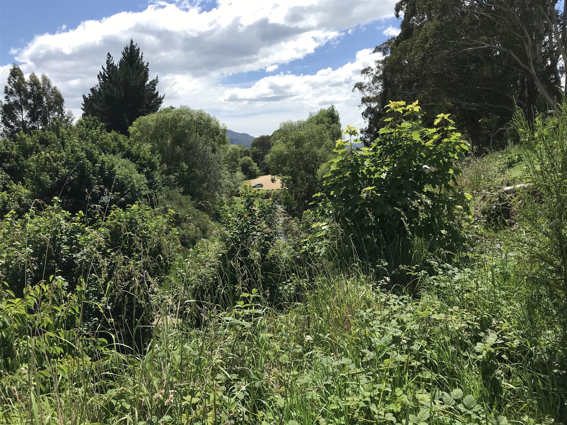 SILVERSTREAM WALKWAY | The Rotary Club of Mosgiel