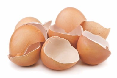 Egg Shell Membrane Benefits | Rotary Club of North Balwyn