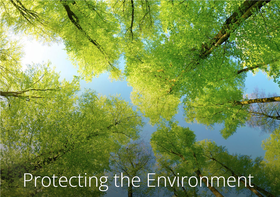 No Bees on Macquarie Island | Rotary Club of Glenferrie