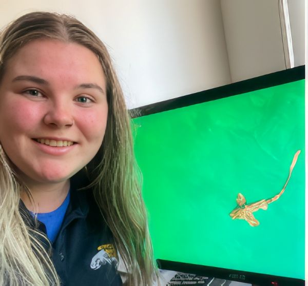 Talking about scalloped hammerhead sharks | Rotary Club of Redcliffe ...